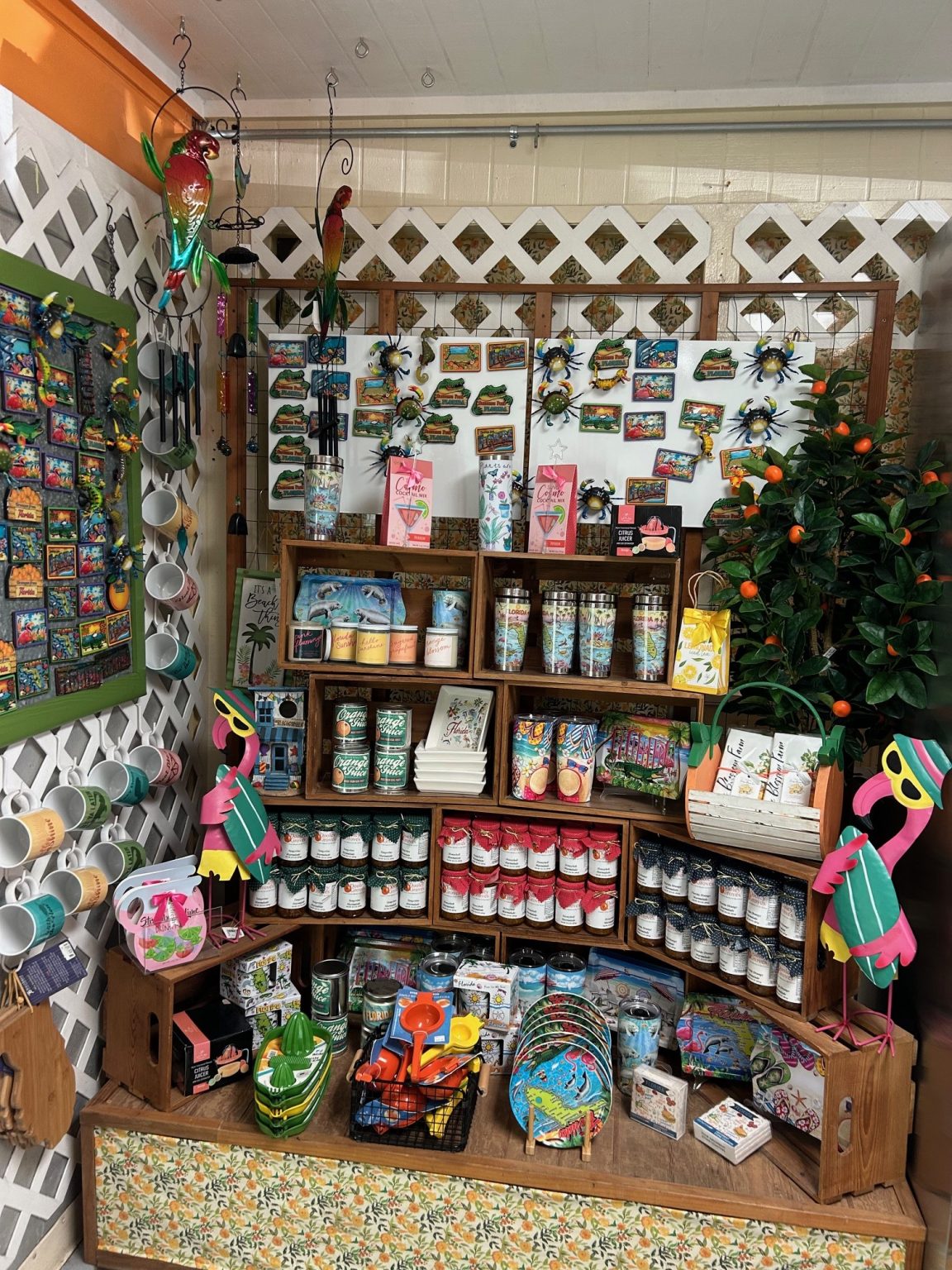 Dooley Groves, Inc: Visit our Country Farm Market in our Grove in ...
