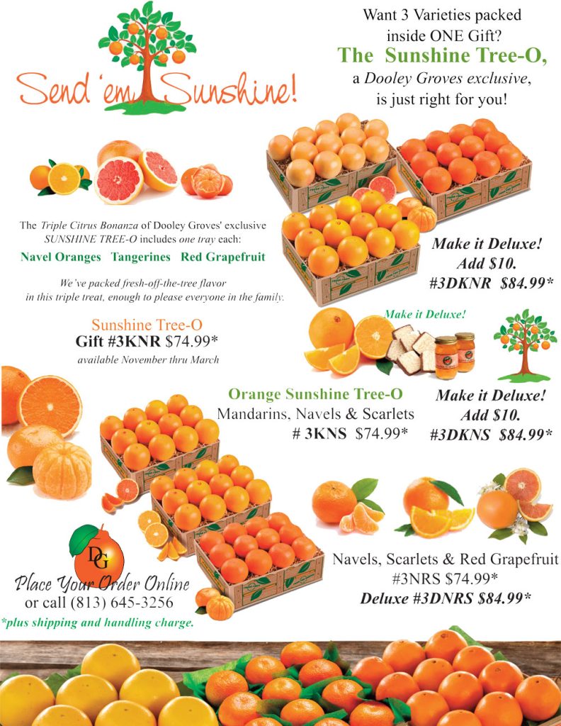 Dooley Groves, Inc: Sunshine Tree-O -Florida Citrus Gift Fruit from ...